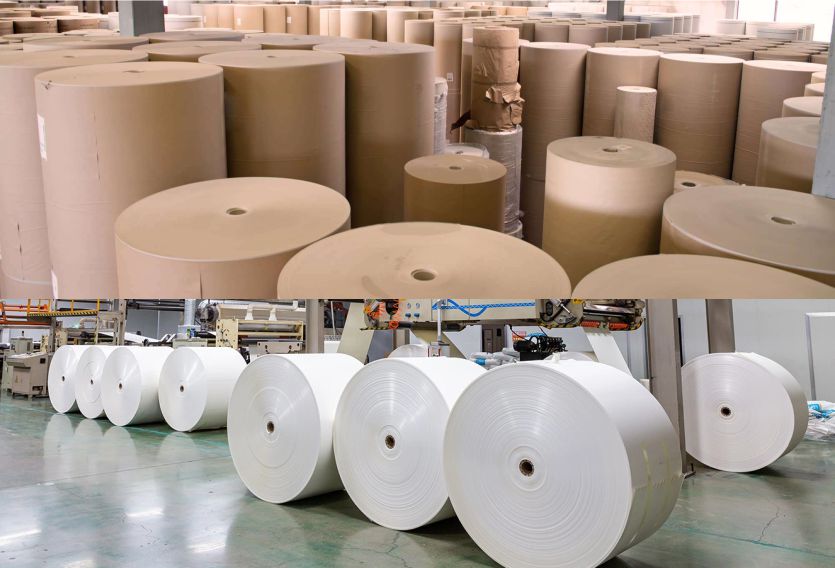 Going Green: The Benefits of Switching to Paper Packaging - Visionpack